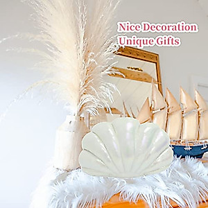 Marble Empire Shell Pillow Seashell Decorative Throw Pillows Pearlescent Sea Shell Toy Coastal Beach Shaped Ocean Theme Decor （13.6 × 8 inch）