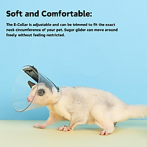 Sugar Glider Recovery Cone - Adjustable Protection Collar Soft Recovery Collar for Rat Bird Hamster Rabbit Guinea Pig After Surgery Wound Healing Elizabeth Neck E Collar for Small Animal (M (6-12cm))