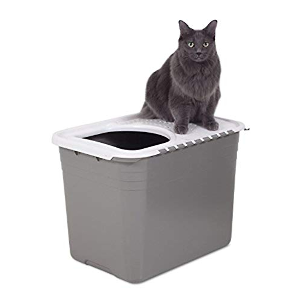 Petmate Top Entry Litter Cat Litter Box With Filter Lid To Clean Paws