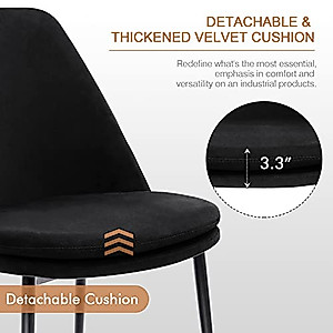 Zesthouse Modern Dining Living Room Chairs Set of 2, Mid-Back Velvet Accent Chairs with Detachable Cushion, Armless Desk Chairs with Metal Legs, Upholstered Side Lounge Chairs for Bedroom, Black