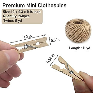 Mini Clothes Pins, 260 PCS Small Wooden Clothes Pins with Jute Twine, Clothespins, Clothes Pins for Photos Crafts DIY Project
