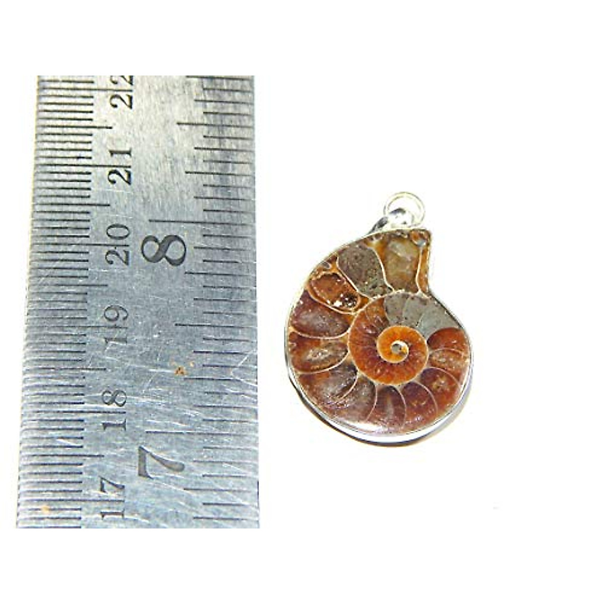 XUETZALCOATL Beautiful Shaligram Locket Crystal Energized 1 Pcs