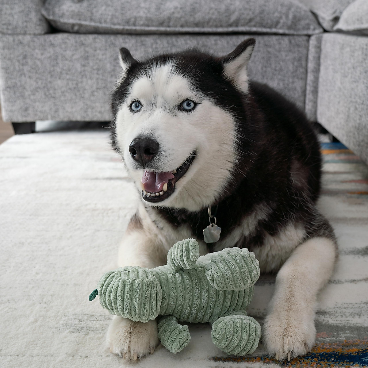 MORELIFE Naughty Dogs Dinos Plush Squeaky Toy | for Small Medium Large Dogs, All Dog Breeds, Green