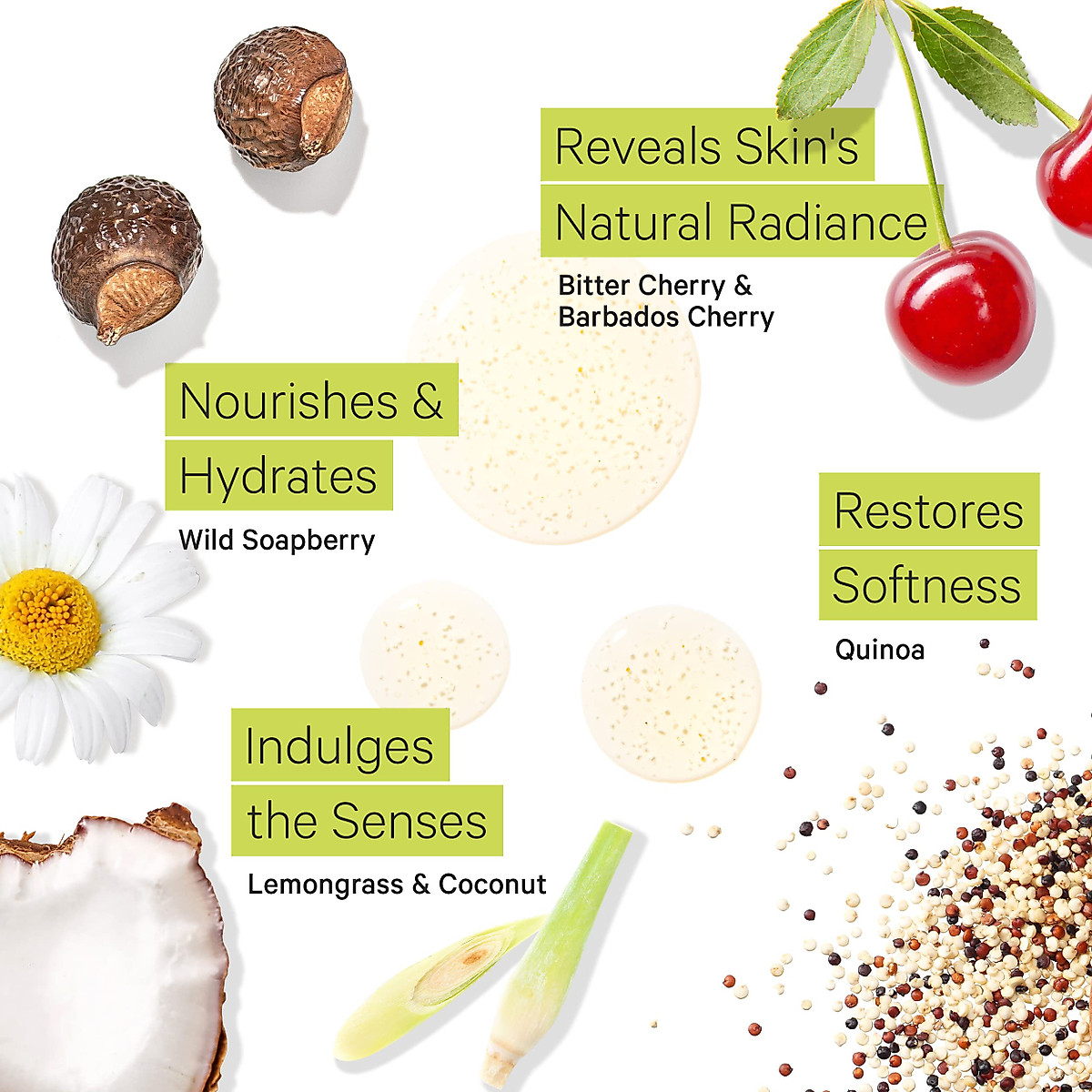 Tree to Tub Bitter Cherry Coconut Exfoliating Body Wash - Gentle Exfoliating Body Scrub for Sensitive Skin - Skin Exfoliator for Body for Women & Men w/Natural Soapberry, Natural Cherry, Organic Rice