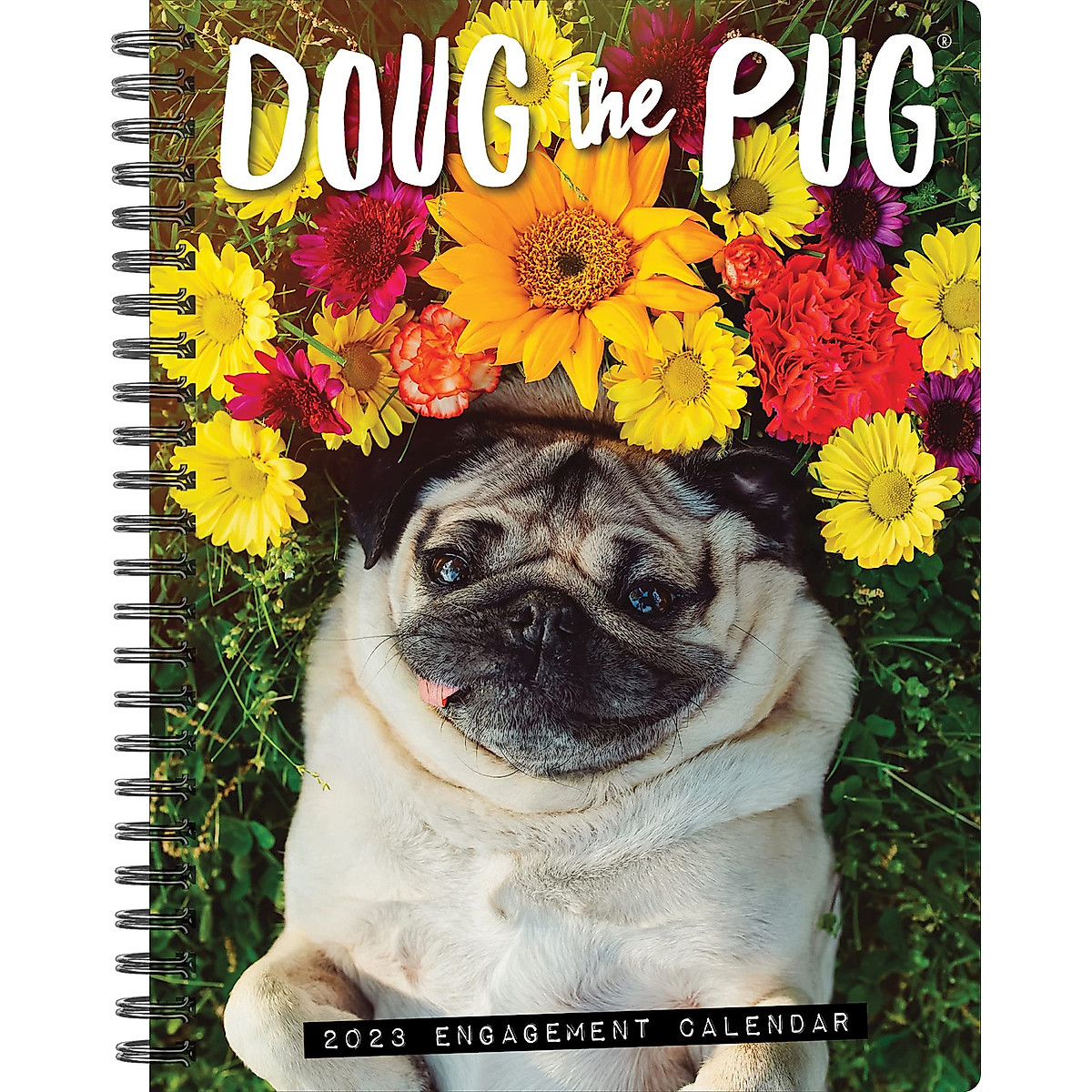 Doug the Pug 2023 Engagement Calendar