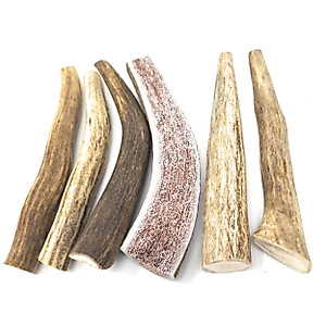 Big Dog Antler Chews 6 Pack for Small Dogs | All Natural Organic Deer and Elk Antler Dog Chews | 0 to 20 Pounds