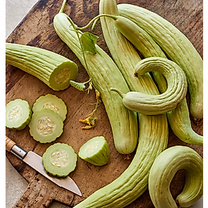 Burpee 'Armenian' Cucumber Seeds, 100 Non-GMO seeds, Heirloom