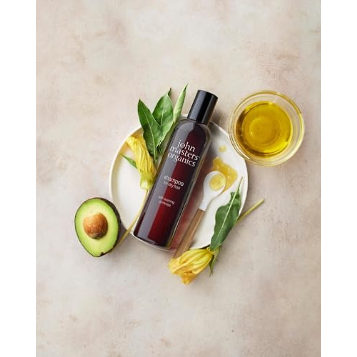 John Masters Organics - Shampoo for Dry Hair with Evening Primrose Good for Thinning, & Color Treated Hair - Moisturizer Infused with Essential Oils, Proteins, & Amino Acids - Sulfate Free - 8 fl oz (Pack of 1)