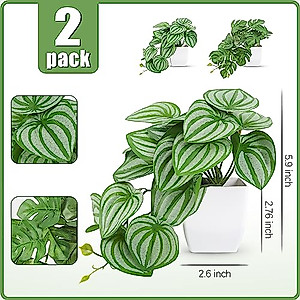 Der Rose 2 Packs Fake Plants Small Artificial Plants for Home Bathroom Office Desk Accessories Living Room Decor Indoor