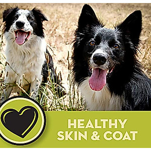 AvoDerm Natural Dry Dog Food, For Skin & Coat, Chicken & Rice Formula, 30 pounds