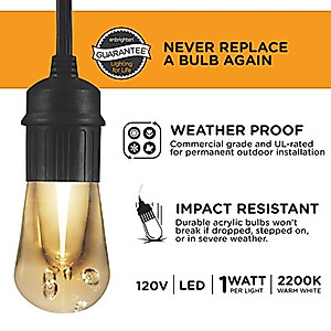 Enbrighten Premium Warm White String Lights, 48ft Black Cord, 24 Shatterproof Acrylic Bulbs, Weatherproof, Outdoor String Lights, 35631