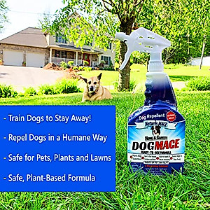 Nature's MACE Dog Repellent 40oz Spray/Treats 1,000 Sq. Ft. / Keep Dogs Out of Your Lawn and Garden/Train Your Dogs to Stay Out of Bushes/Safe to use Around Children & Plants