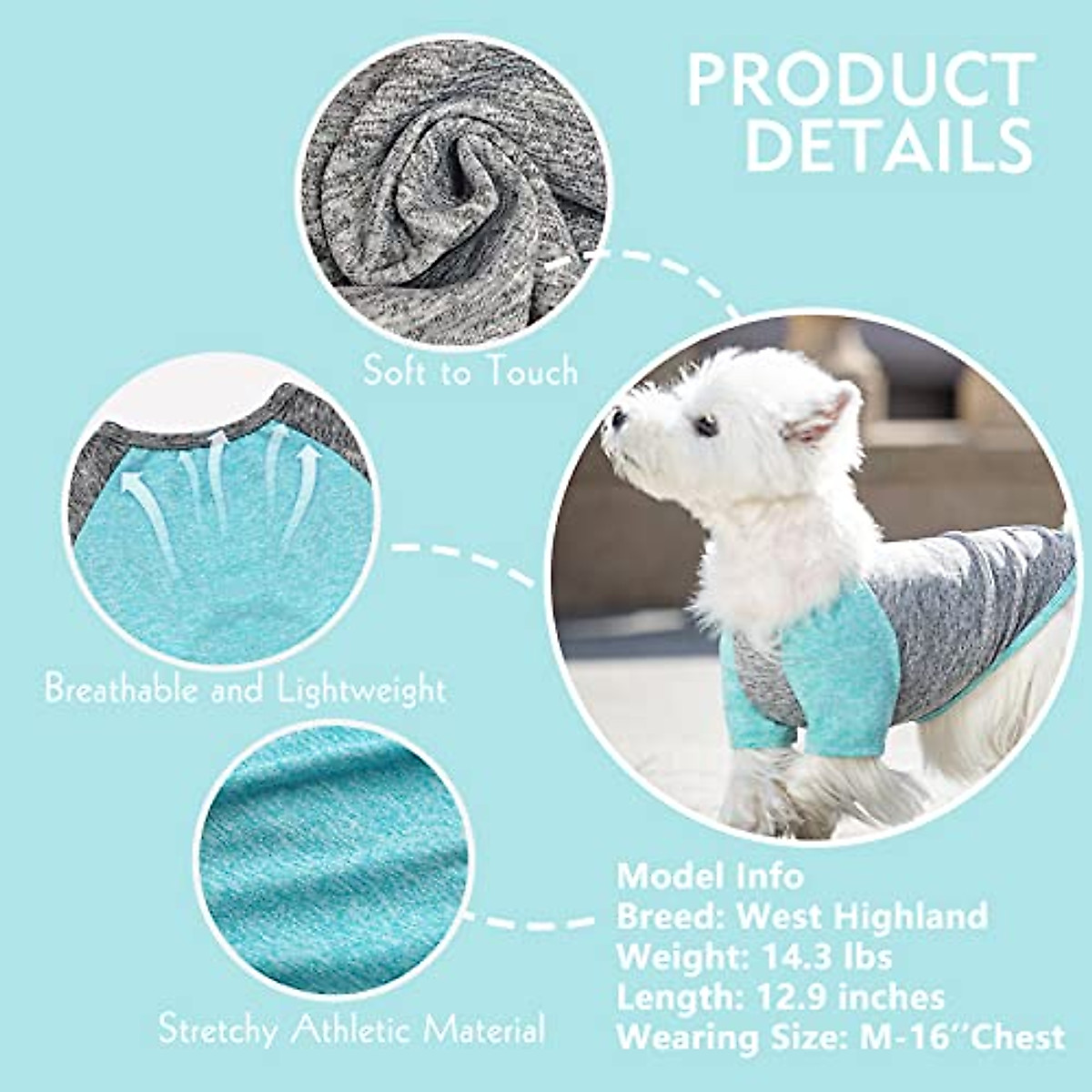 KYEESE 2 Pack Dog Shirts Raglan Sleeve Quick Dry Lightweight Stretchy Protects Against Foxtails Dog T-Shirts with Reflective Label Puppy Shirts for Small Dogs Sun Protection, Medium, Grey+Blue