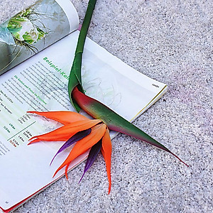 Calcifer 32'' Real Touch Bird of Paradise Artificial Flowers Bouquet for Home Garden Decoration/Wedding Party Decor (Goldenrod,5 Stems)