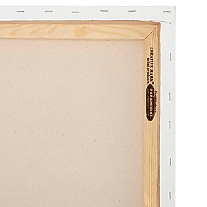 Paramount Professional 1-13/16" Deep Gallery Wrap Canvas - Professional Cotton Canvas for Acrylics, Painting, Oils, Artists, & More! - [Box of 3-24x36"]