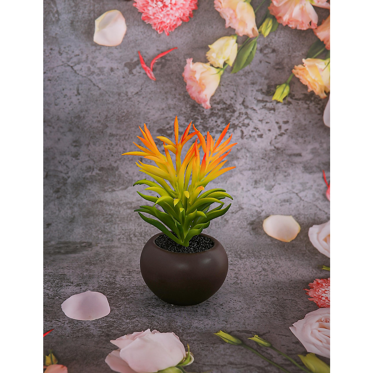 Loss of Dog Pet Sympathy Gifts, Dog Memorial Gifts, Dog Passing Gifts, Pet Cat Memorial Gift Baskets, Pet Sympathy Gifts,Loss of Pet Gifts Box.