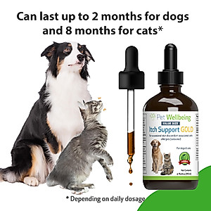 Pet Wellbeing Itch Support Gold for Dogs - Occasional Itching, Scratching, and Hot Spots, Environmental and Seasonal Allergies - Veterinarian-Formulated Herbal Supplement 4 oz (118 ml)
