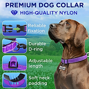 TECEUM Reflective Pet Collar – Purple – M – Extra Soft Padding – Basic Nylon Dog Collar – Quick Release Buckle – Fits Small, Medium and Large Dogs, Puppies, Cats – ESA & Service Dog Options