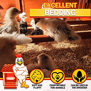 Hemp Bedding for Chicken Coop, with Anti Odor Herbs - Small Animal Litter for Guinea Pig, Hamster, Bunny Rabbit, Snake, Ferret, Tortoise, Rat and More - Pine Wood Shavings Alternative Poultry 1cuft