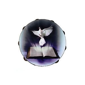 Audiopipe ATMDOV10 Zebra Sound 10 Tambourine