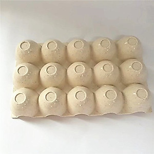 LOLPI Creative Egg Storage Box Refrigerator Egg Storage Container , 15 Compartment Design Plastic Egg Holder for Refrigerator