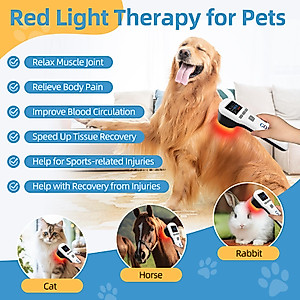 GOVW Cold Laser Therapy Device for Dogs, Infrared Light Therapy Wand, 2x940nm+2x850nm+16x650nm, Red Light Therapy for Hip & Joint Care Arthritis Pain Relief, Low Level Laser Therapy for Wound Healing