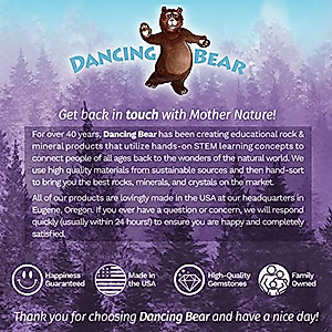 DANCING BEAR FOSSIL COLLECTION Kit (12 Different Types of Specimens): Trilobite, Dinosaur Bone, Shark teeth, Coprolite (fossilized Turtle Poop) Fossil ID Book, Magnifying Glass, STEM Science Set, Made in the USA