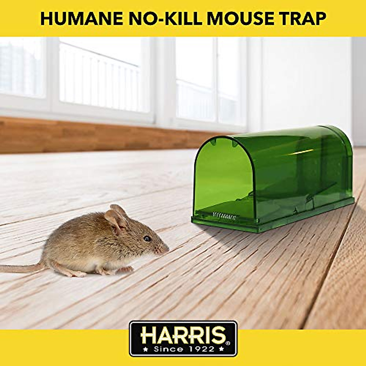 Harris Humane Mouse Trap, Catch and Release, 3-Pack