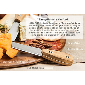 Harvest 6-Piece Cheese Knife Set (Gift-Ready) - Premium Stainless Steel Cheese Knives with Rivets, Full Tang Blades and Teak Wood Handle Charcuterie Board Accessories w/ 15 Festive Recipes