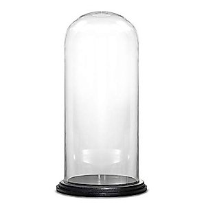 CYS EXCEL Glass Dome Cloche with Black Wood Base (H:14.7" D:7") | Multiple Sizes Decorative Showcase Display for Antique Collectibles | Bell Jar Terrarium & Dessert Cover
