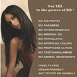 GIOVANNI Smooth As Silk Deeper Moisture Conditioner - Calms Frizz, Adds Moisture, Detangles, Wash & Go, Co Wash, Natural Botanical Ingredients, Color Safe, Sulfate Free - Apple & Aloe, 8.5 oz