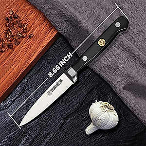 Gioventù Paring Knife 4 inch - Small Kitchen Knife Forged from German Stainless Steel 5Cr15Mov (HRC58), Full Tang, Sharp Paring Knife for Cutting, Peeling, Slicing Fruits and Vegetables
