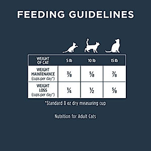 Instinct Raw Boost Healthy Weight Grain Free Recipe with Real Chicken Natural Dry Cat Food, 10 lb. Bag