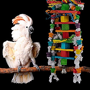 MEWTOGO Bird Parrot Chewing Toys- Multicolored Natural Wooden Knots Blocks Waterfall Bird Tearing Entertaining Toys Suggested for Conures Cockatiels African Grey Foraging and Amazon Parrot
