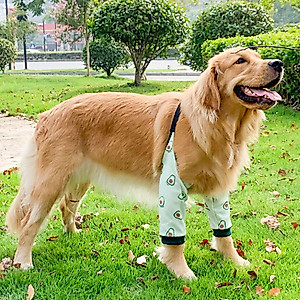 HDKUW Dog Elbow Protector, Dog Leg Recovery Sleeve for Prevent Licking Wound, Joint Sleeves with Mesh Pad for Medium Large Dogs Thickened Avocado 2XL