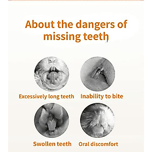 Barn Eleven 100g/0.22lb Natural Apple Sticks, Treats Food for Small Animals, Chew Toys for Chinchilla Guinea Pigs Rabbit Squirrel Hamster Bunny (100g/0.22lb)