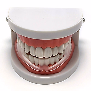 Alayna Kids Mouth Guard for Grinding Teeth - 10 PK Night Guard for TMJ Bruxism Teeth Clenching, No Boiling or Molding - for Upper or Lower Jaw - Ready to Use Childrens Dental Guard for Pain Relief