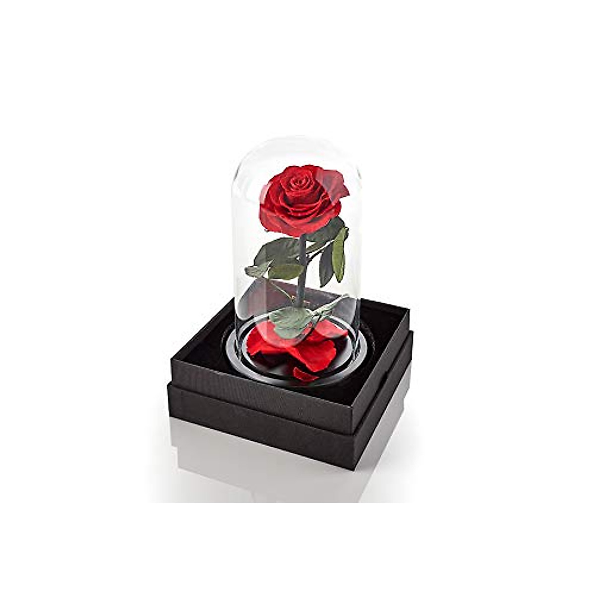 Sharper Image Timeless Rose - Red