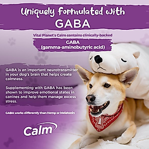 Vital Planet - Calm Soft Chews for Dogs, Promotes Calmness in Stressful Situations with GABA, Colostrum, Valerian, Turmeric, Chamomile, and L-Theanine - 45 Natural Bacon Flavored Soft Chews