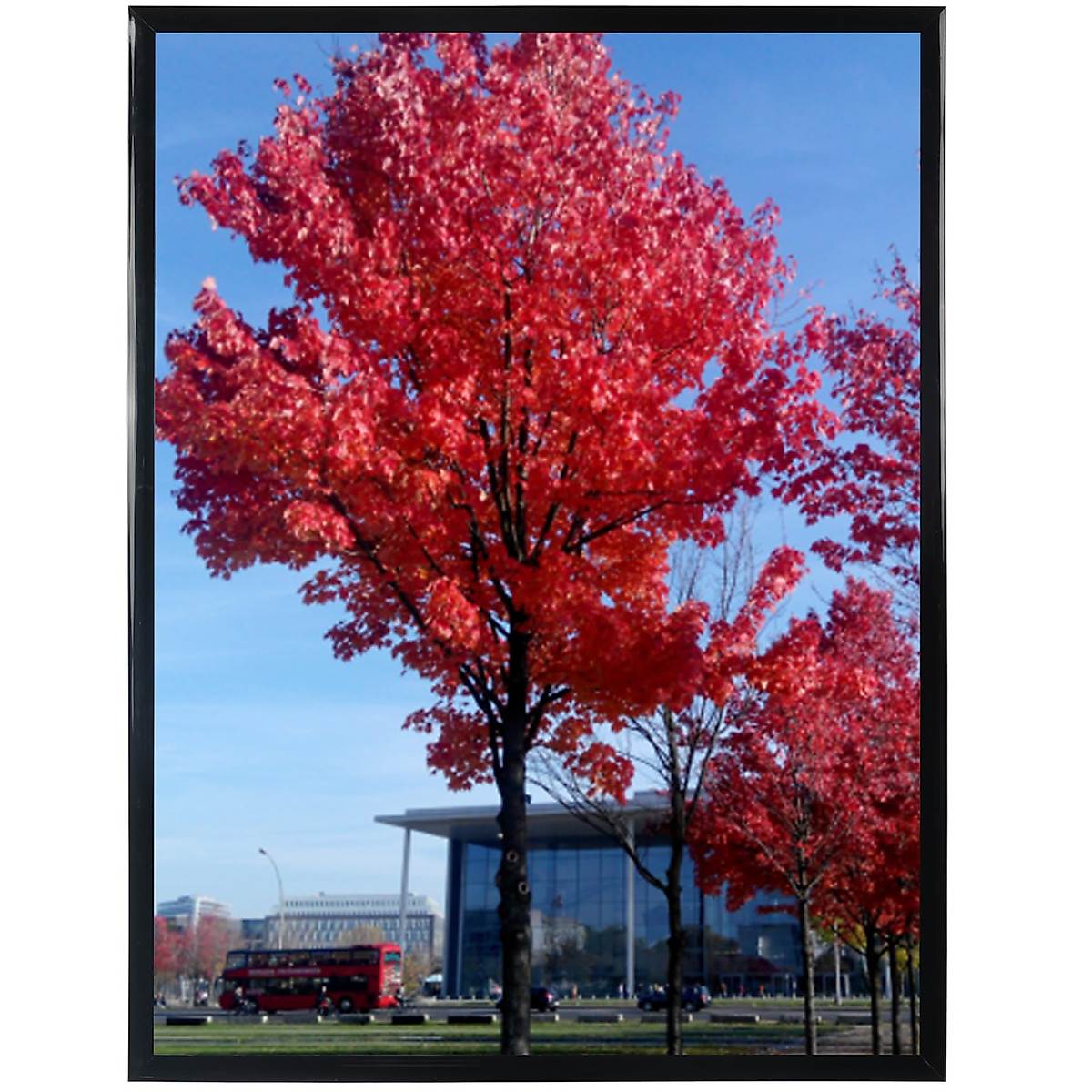 Medog 11x14 Picture Frame Black Display Pictures 11x14 Gallery Frame Wall Hanging Photo Frame Document Certificate Picture Frame, Black, 1 Pack