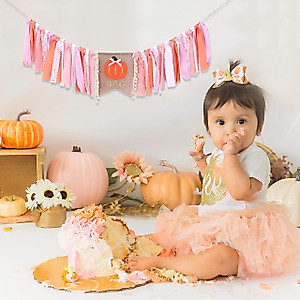 Pumpkin Highchair Banner for 1st Birthday - Little Pumpkin Banner, Pumpkin Birthday Party Decorations, Pink Orange First Birthday Banner, Baby Shower Decorations for Baby Girl
