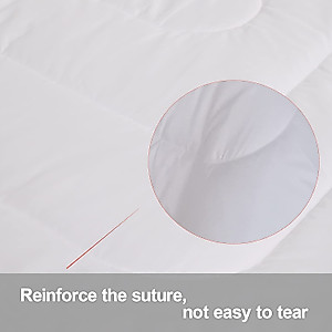 CVHOUSE Butterfly Queen Comforter Set for Girls Teens.Butterfly Queen Bedding Set,Butterflies Bedspread,Butterfly Duvet,Butterfly Bed Set,Butterflies Quilt Set 3 Pcs 1 Comforter and 2 Pillowcases