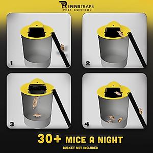 RinneTraps - 2 Pack Flip N Slide Bucket Lid Mouse/Rat Trap |Humane or Lethal| |Trap Door Style| |Multi Catch |Auto Reset| |Indoor Outdoor| |5 Gallon Bucket Compatible| Manufacturer| MADE IN USA
