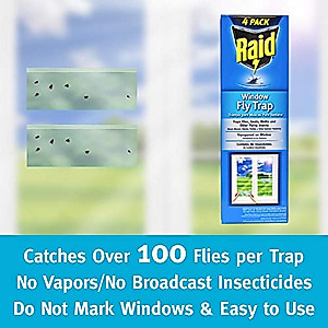 Raid Window Fly Trap, 4 Count (12-Pack)