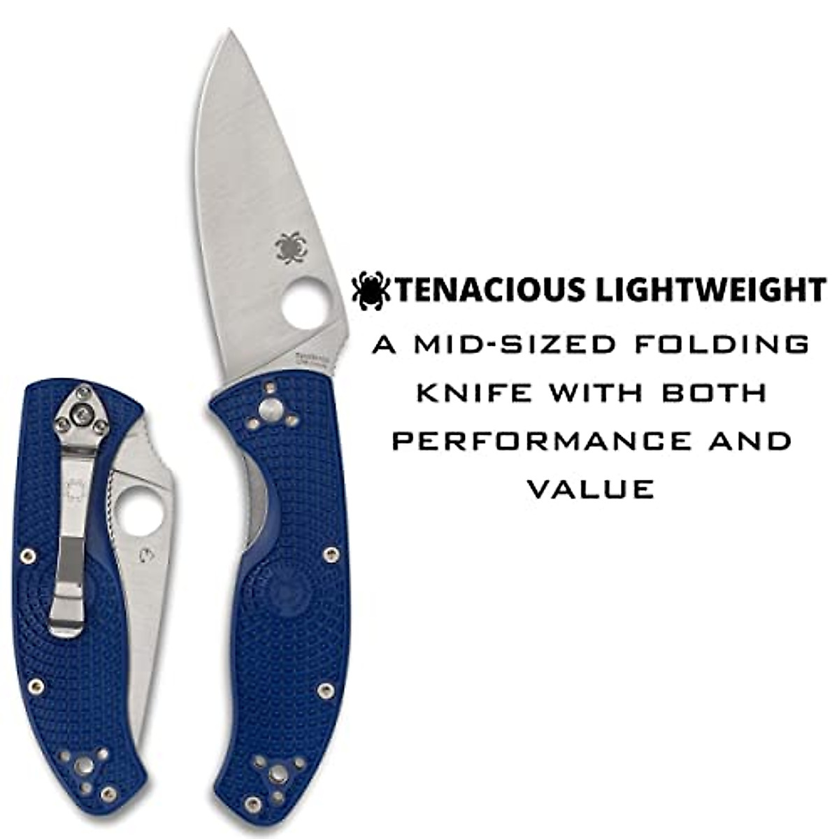 Spyderco Tenacious Lightweight Folding Utility Pocket Knife with 3.39" CPM S35VN Steel Blade and Blue FRN Handle - Everyday Carry - PlainEdge - C122PBL