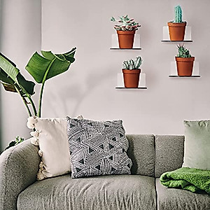 Acrylic Small Adhesive Wall Shelves,Mini Floating Shelves,Acrylic Display Shelves,Ledges for Pop Figures,Plant,Picture Photo Modern Wall for Bedroom Decor Living Room Wall Mounted - Clear