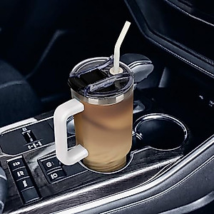 Bearded Dragon in Desert Insulated Tumblers with Handle Stainless Steel Coffee Mug Funny Travel Cup with Lid Straw 40oz