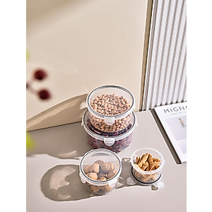 Class Frogs 32 high-capacity food storage containers (16 containers+16 lids), lunch box, bread storage box, pantry and kitchen container, leak proof, BPA free, Transparent, CNTZ-A111