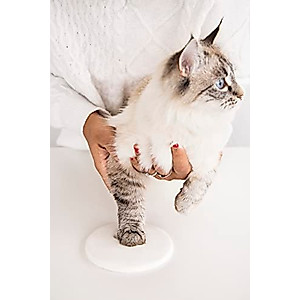 Pearhead Dog or Cat Pawprint Tabletop Photo Frame With Clay Imprint Kit, Tabletop Pet Keepsake Picture Frame, Paw Print Making Kit Included, 4" x 6" Photo Insert, Espresso