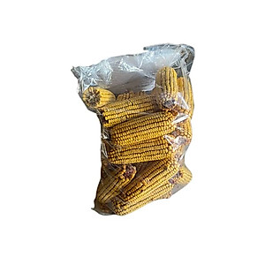 Ruff Farms Squirrel Corn - Approx. 12 lbs., 24 Ears